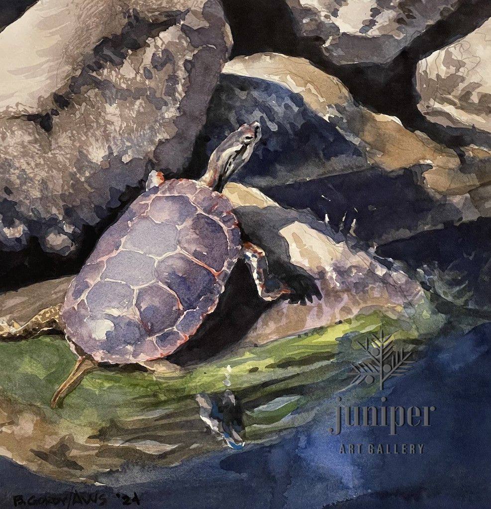 Painted Turtle Basking by Brian Gordy – Juniper Art Gallery