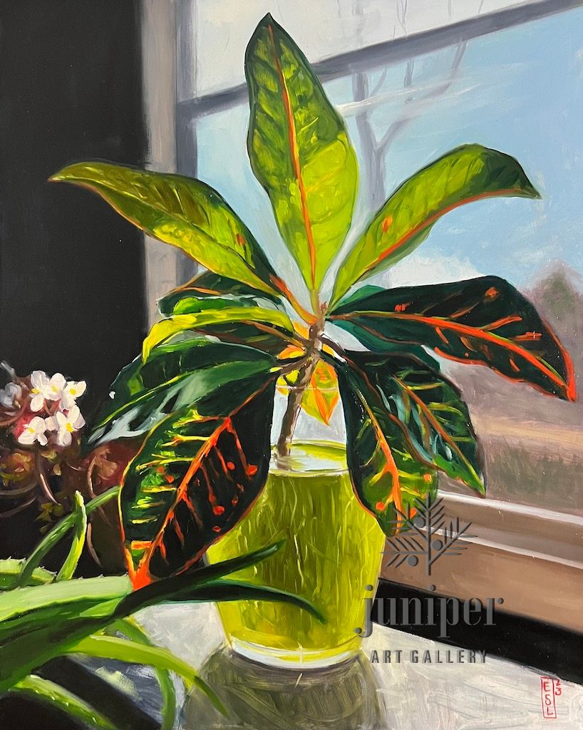 Window Croton by Ellen Starr Lyon – Juniper Art Gallery
