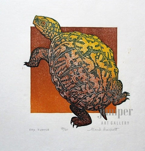 Box Turtle by Mark Burkett – Juniper Art Gallery